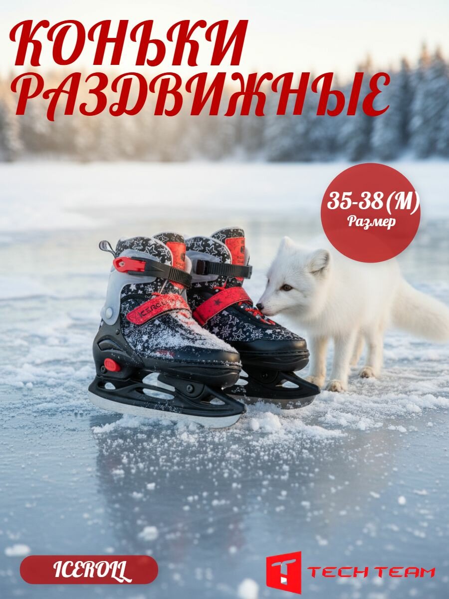 Коньки Iceroll black/red р.35-38 M, Tech Team, для тренировок, прогулок и активного отдыха на каждый день