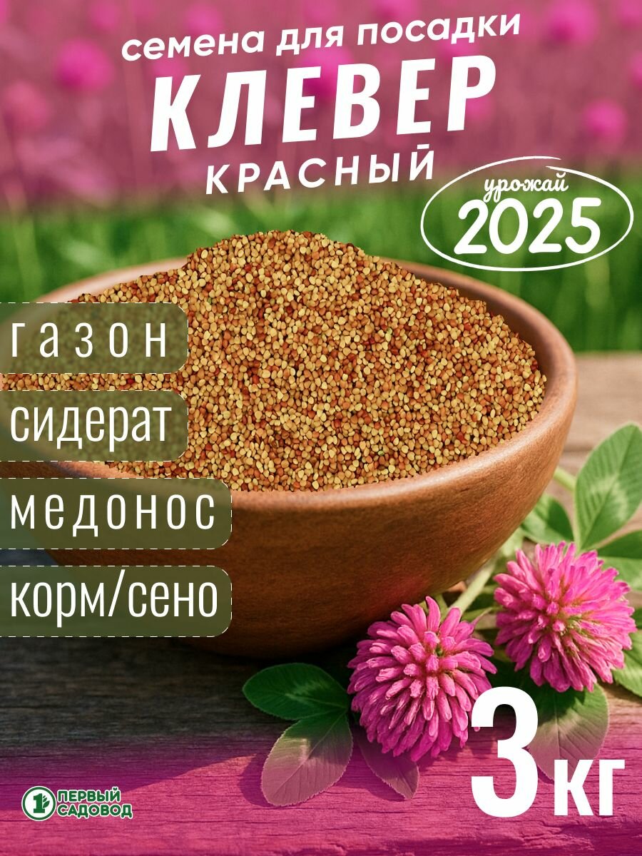 Красный клевер семена 3 кг семена клевера клевер красный