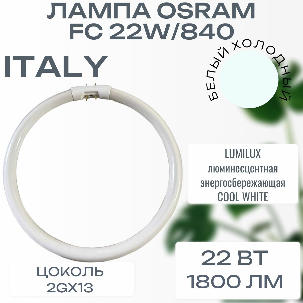 Лампа кольцевая OSRAM FC 22 W/840 2GX13 LUMILUX люминесцентная d 16 mm холодный белый