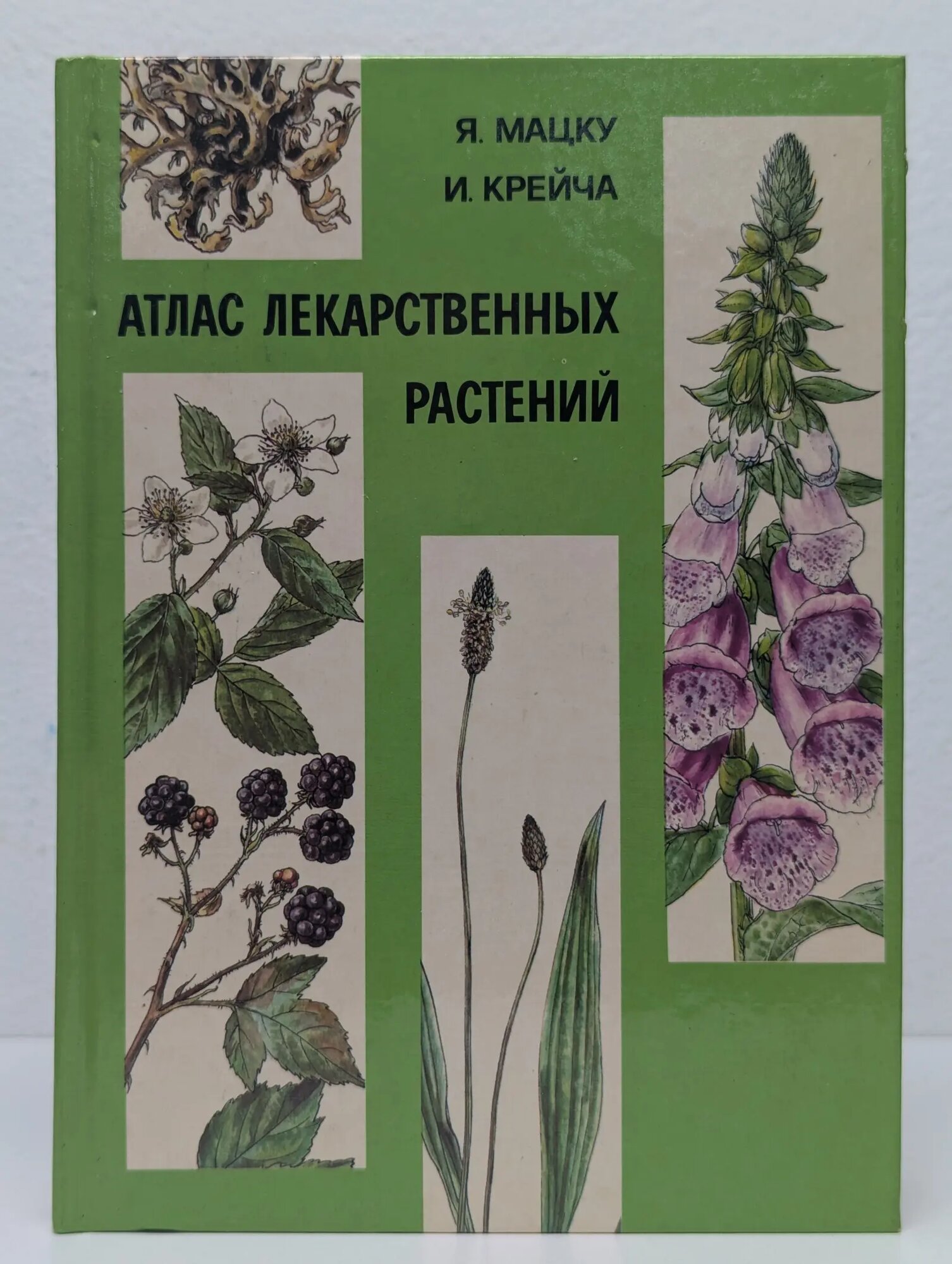 Атлас лекарственных растений Крейча Индржих, Мацку Ян 1981