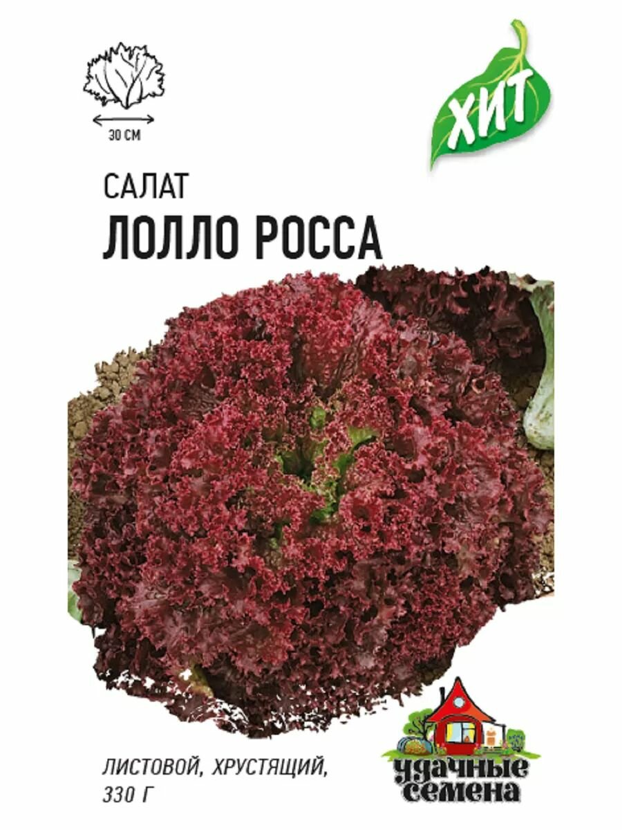 Салат Лолло Росса цв. п 0,5г ХИТ лист, бордо Гавриш