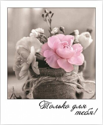 Мини-открытки Дон Баллон "Только для тебя!", Нежные цветы, 9х11 см, 10 шт