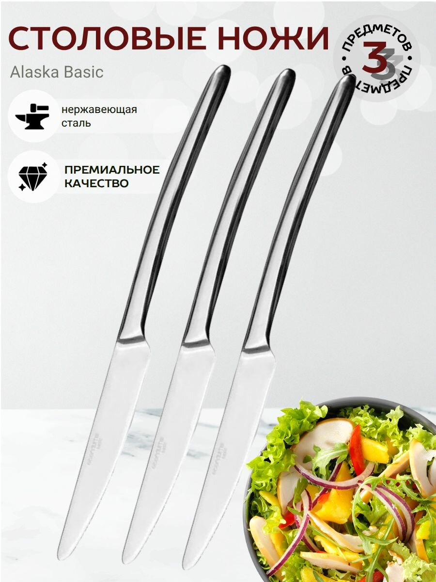 3 столовых ножа Kunstwerk Alaska Basic сталь