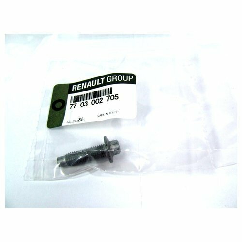 Болт поддона Renault 7703002705