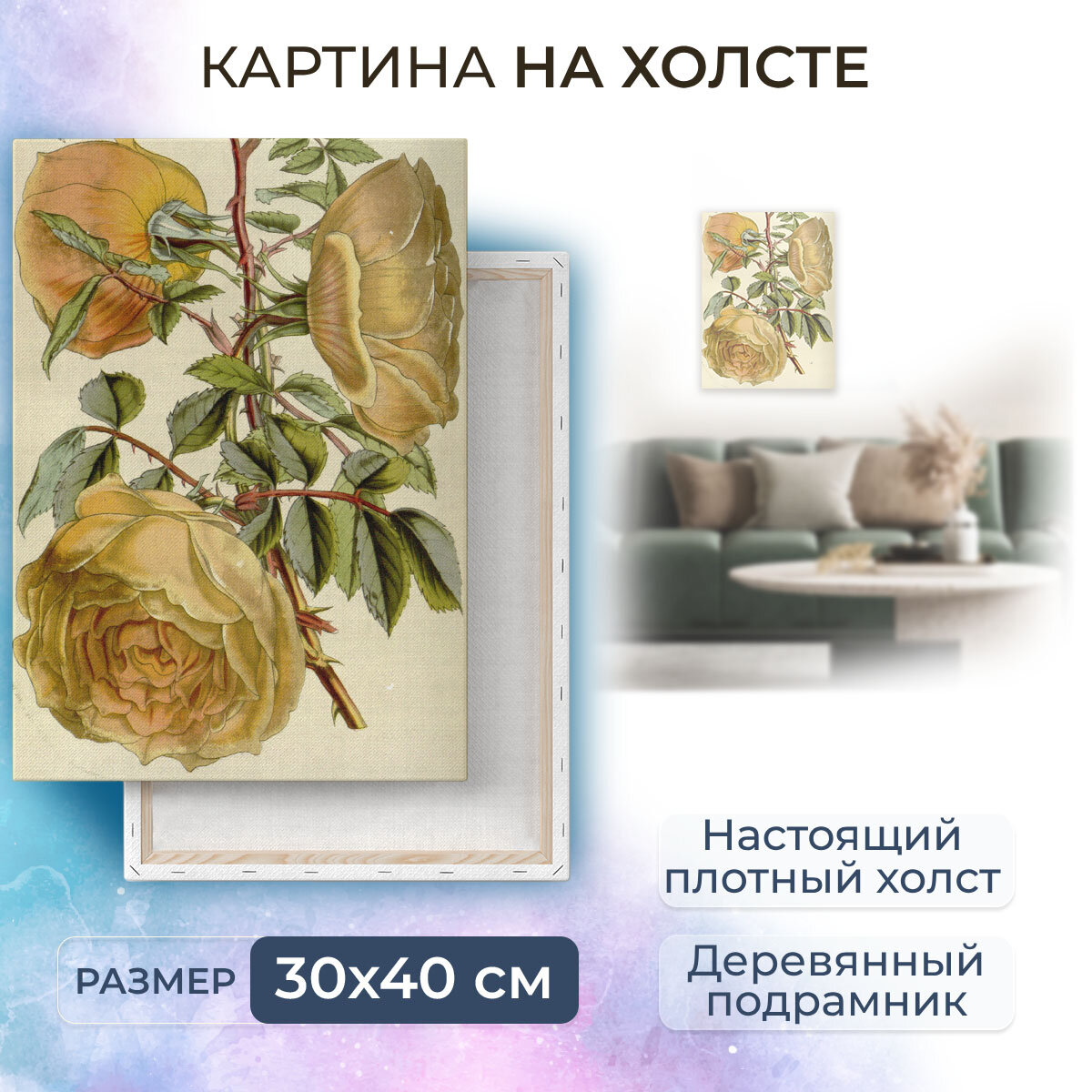 Картина на холсте с подрамником / Pierr - Joseph Redoute / Пьер-Жозеф Редуте