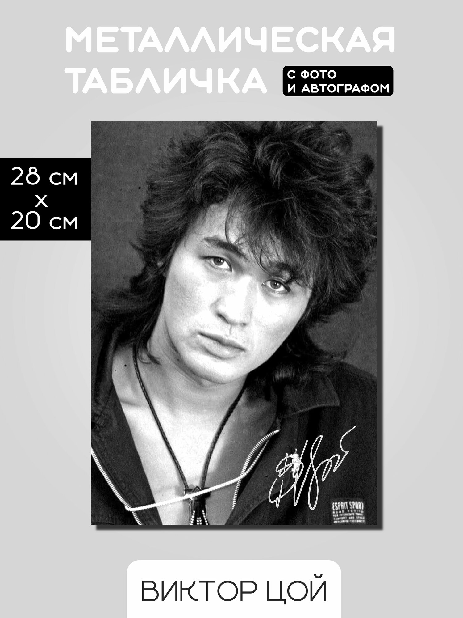 Виктор Цой автограф на металлической фотографии
