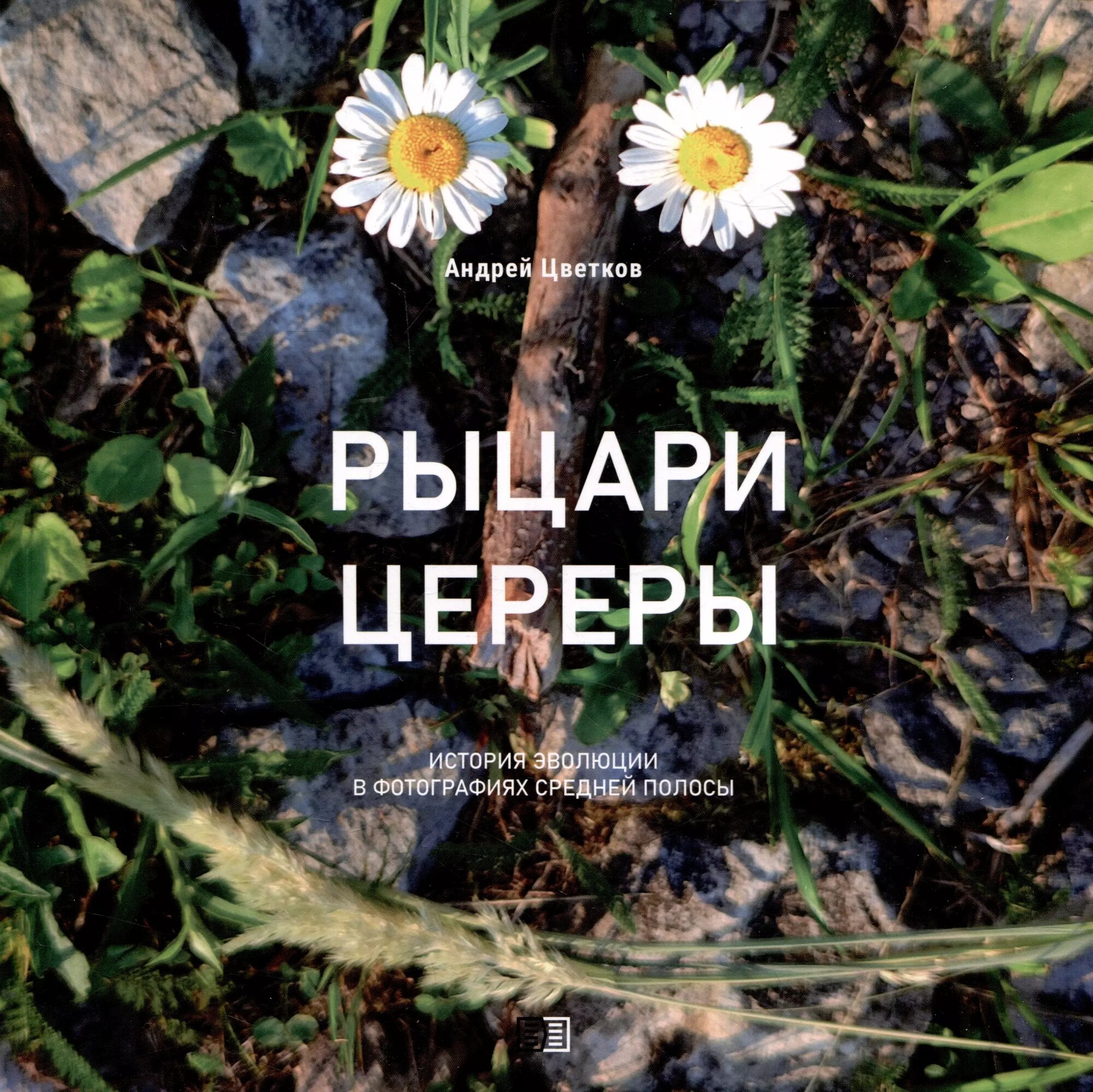 Книга Цветков А. В. "Рыцари Цереры" от 12 лет, мягкий переплет, 48 страниц, 2024 год