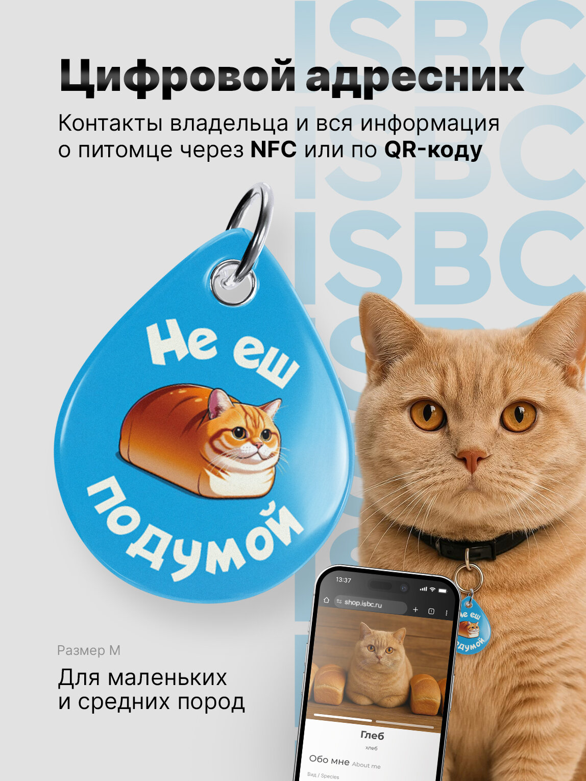 Цифровой Адресник для кошек от ISBC с NFC и QR-кодом, Кот-батон