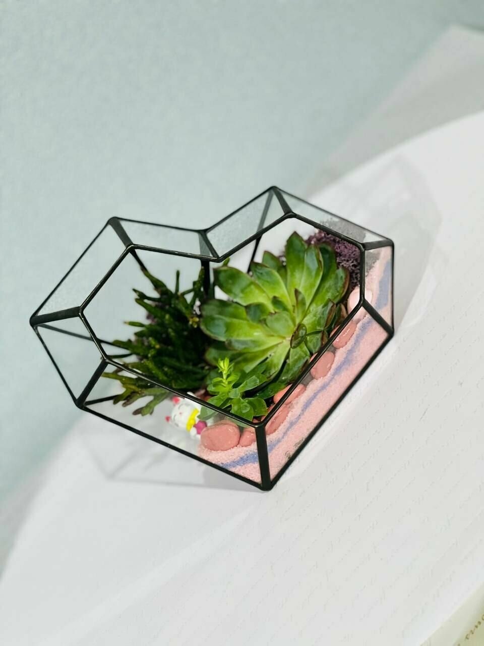 Флорариум сердце / Комнатное растение в вазе / Подарок