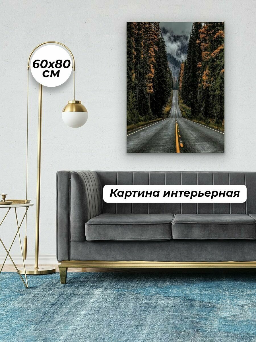 Картина на стену для интерьера 60х80 Дорога в лесу Пейзаж