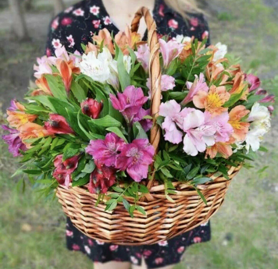 Букет альстромерий в корзине 35шт / Цветы