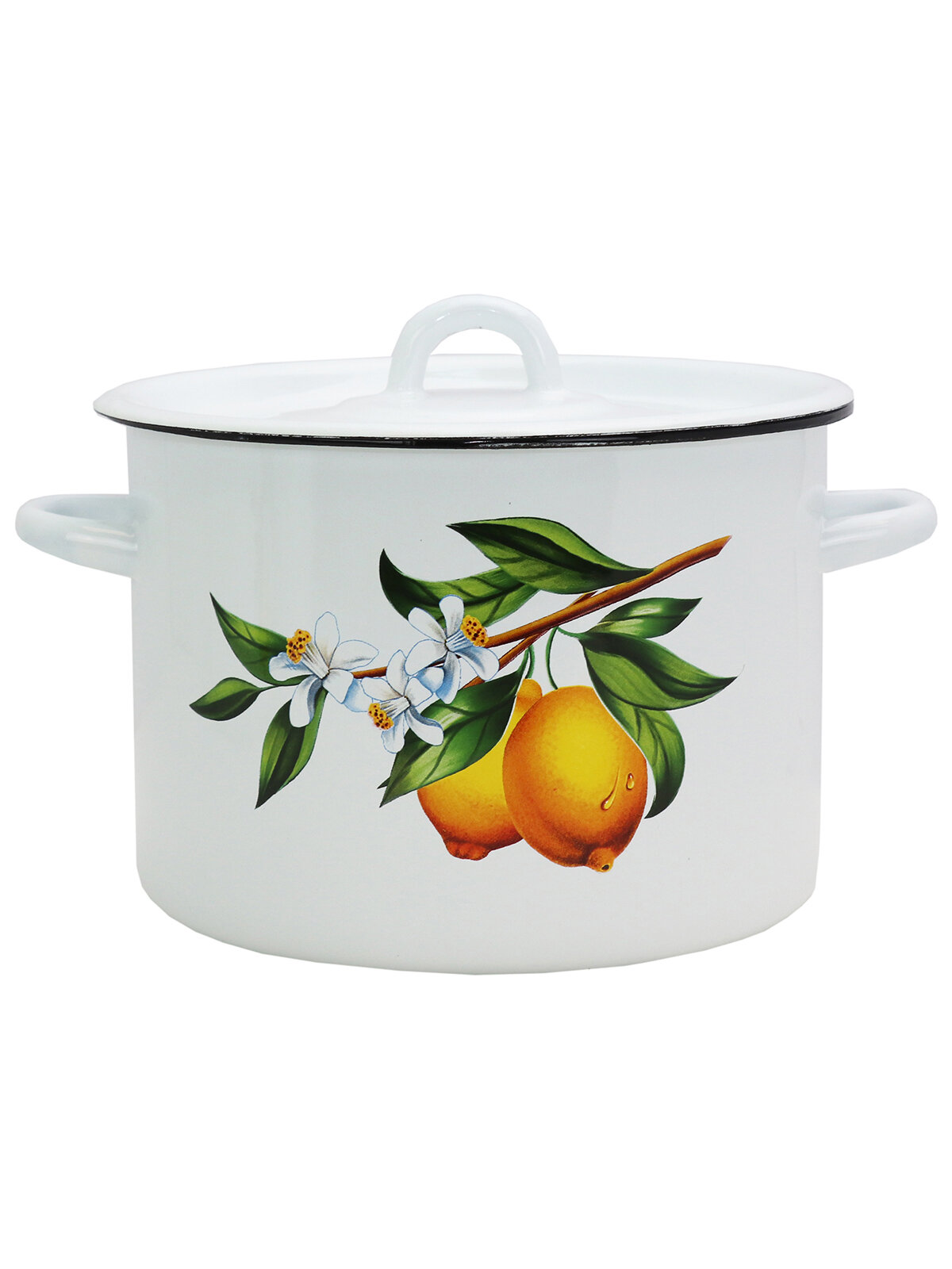 Кастрюля эмалированная Лимоны, с крышкой, 4,5 л