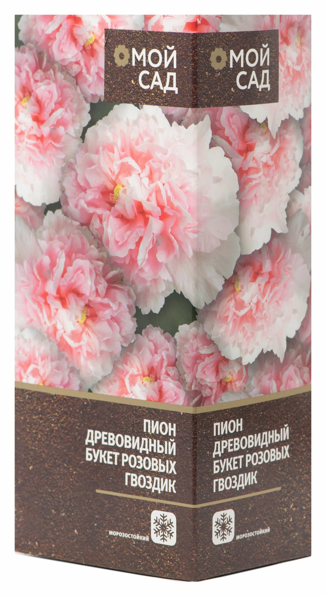 Саженец Пион древовидный Букет Розовых Гвоздик 1 шт