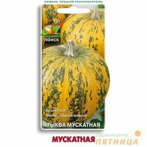 Семена Тыква Мускатная 10шт Поздние (Поиск)