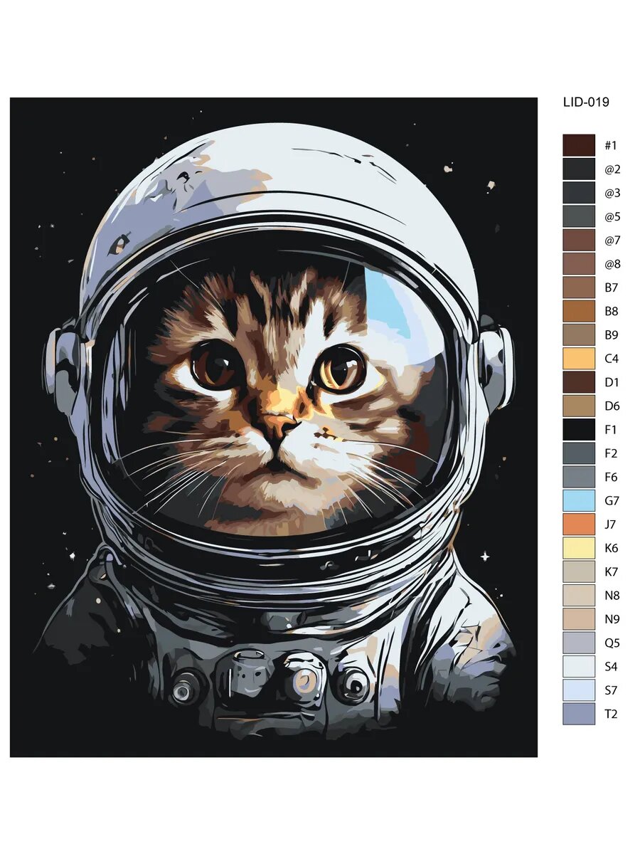Картина по номерам,48 x 60, LID-019, котик космонавт, космос