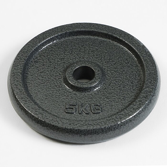Диск 5 кг, d=29 мм