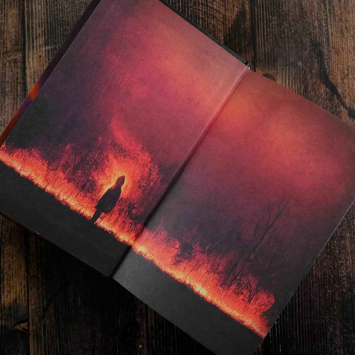 Книга АСТ Полудницы. Изнанка темноты. 2023 год, П. В. Волчик