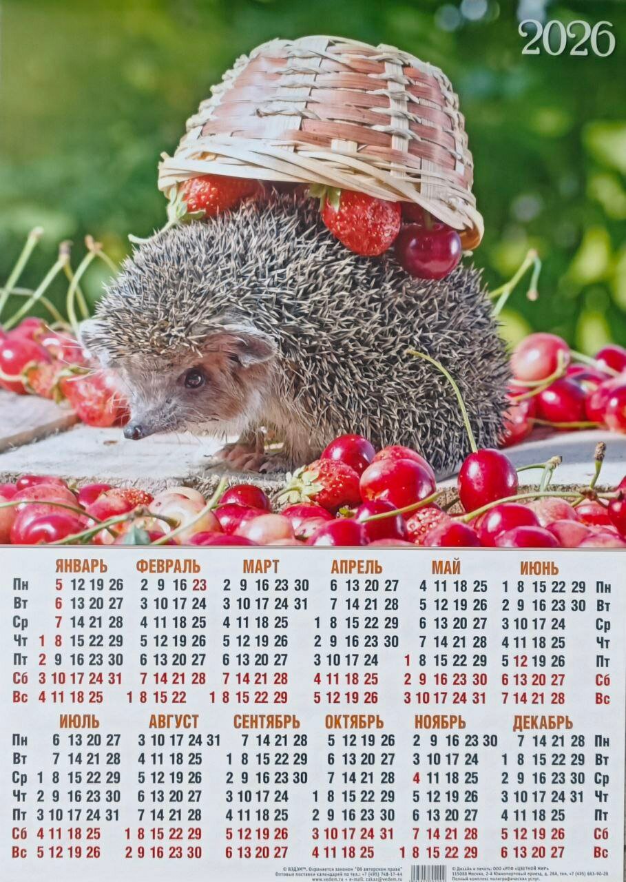 Календарь листовой 2026 год Ежик, вишня и земляника, А2, Вэдэм 85