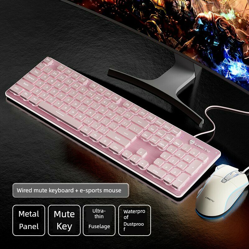 Бесшумный комплект клавиатуры и мыши Langtu L1, проводной, для настольных и портативных компьютеров, подходит для