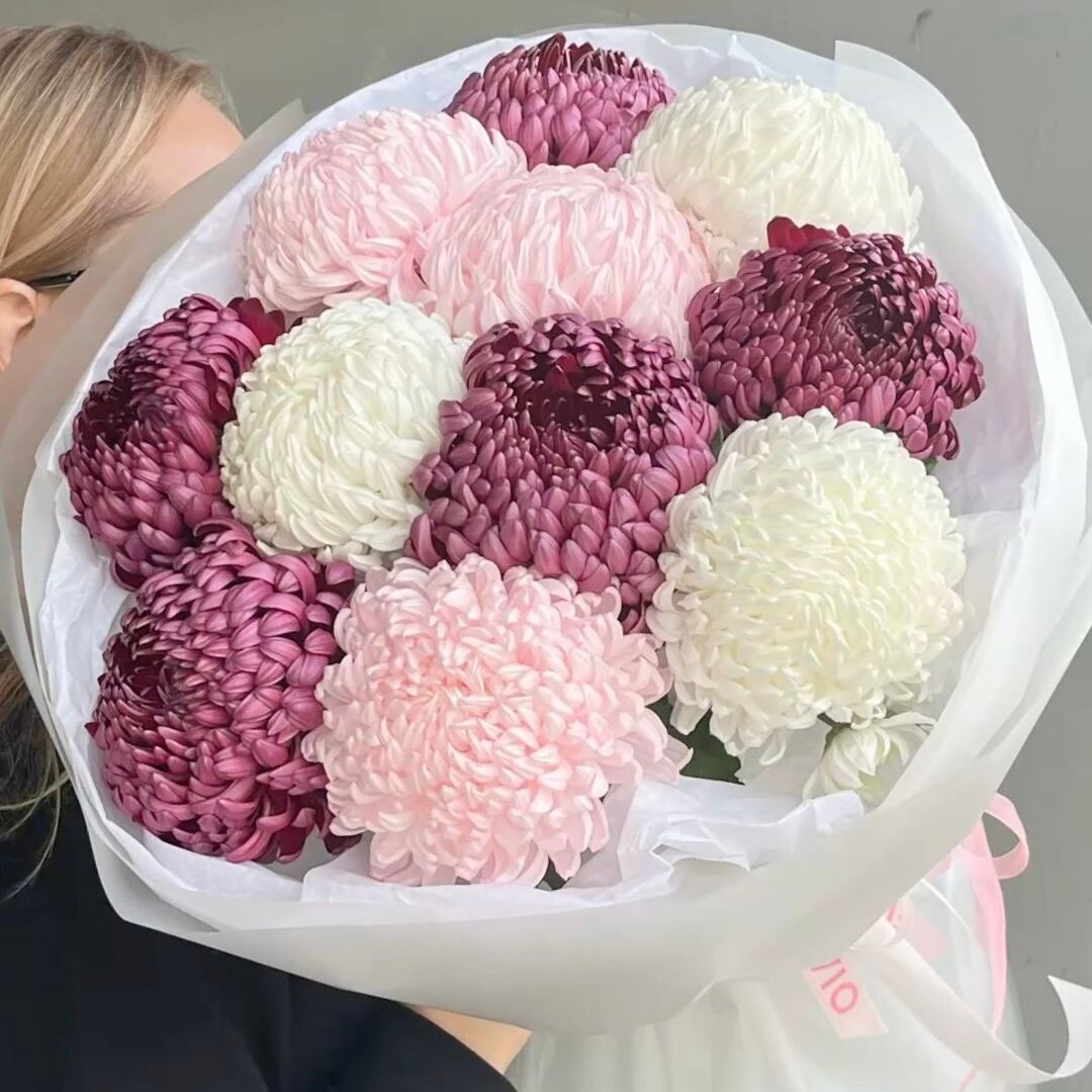 Букет из розовых, белых и фиолетовых хризантем 11 шт, красивый букет цветов, шикарный, премиум цветы, премиум букет