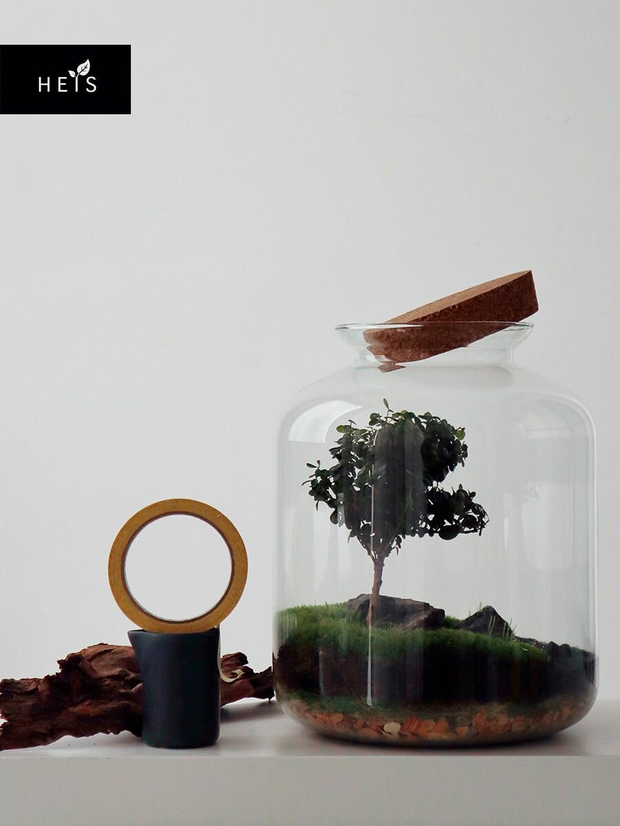 Флорариум стеклянный / экосистемы HEIS / Мирсина Classic XL