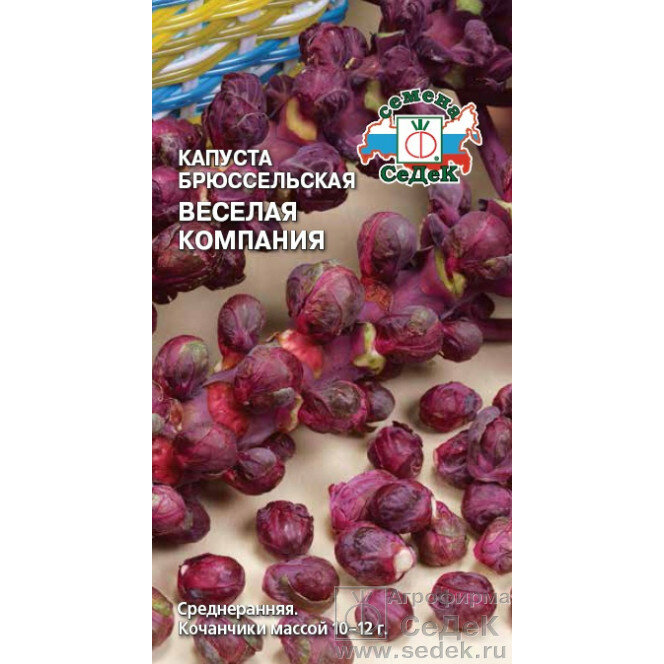 Семена капусты брюссельской "Веселая Компания" красная, 10 упаковок по 0,3 гр - кочанчики среднего размера, эллипсовидные, темно-зеленые с сильным антоцианом, плотные.