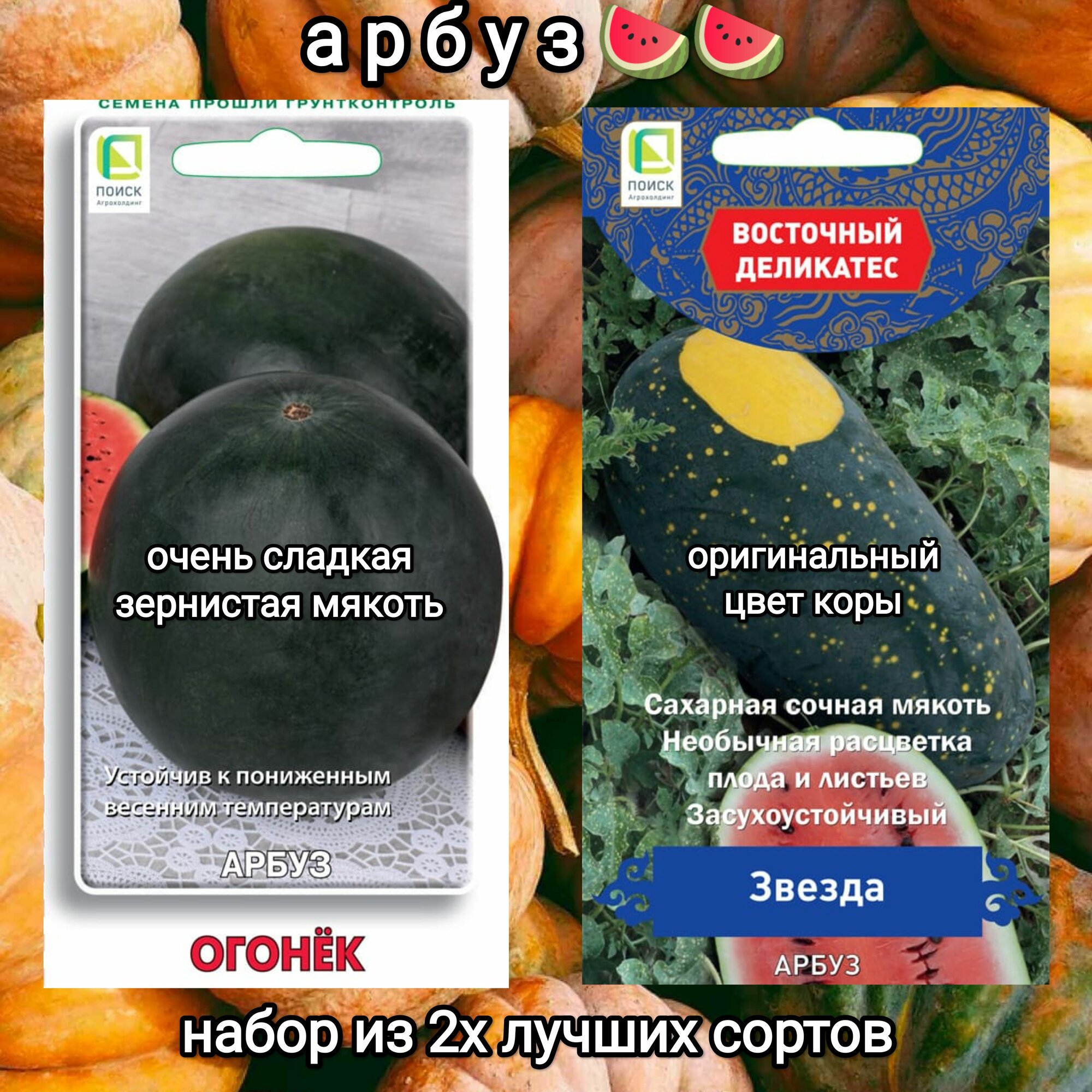 Арбуз Огонек + Арбуз Звезда, семена необычных сортов, набор 2 пачки, поиск Агрохолдинг