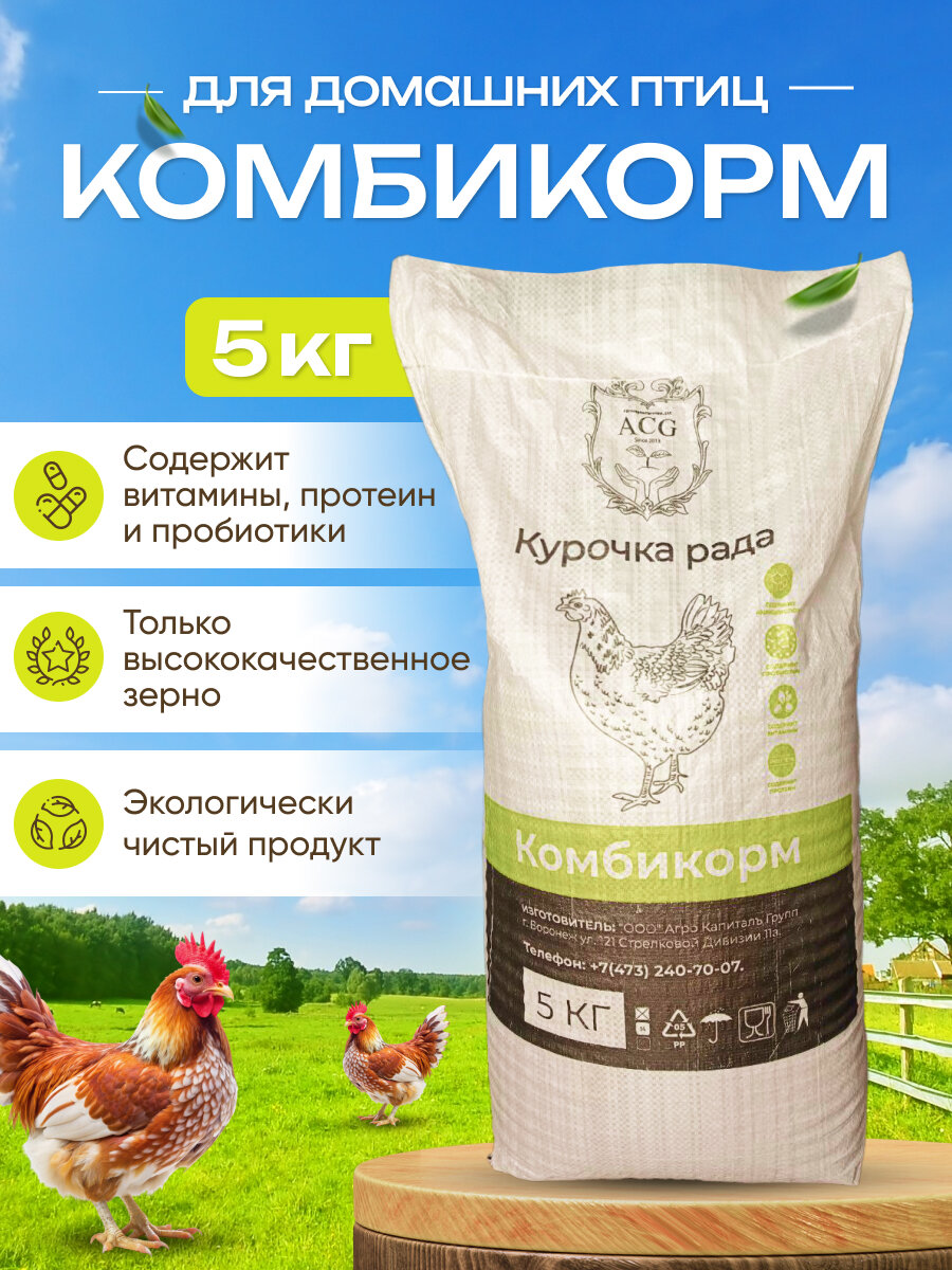 Комбикорм "Курочка рада", 5 кг