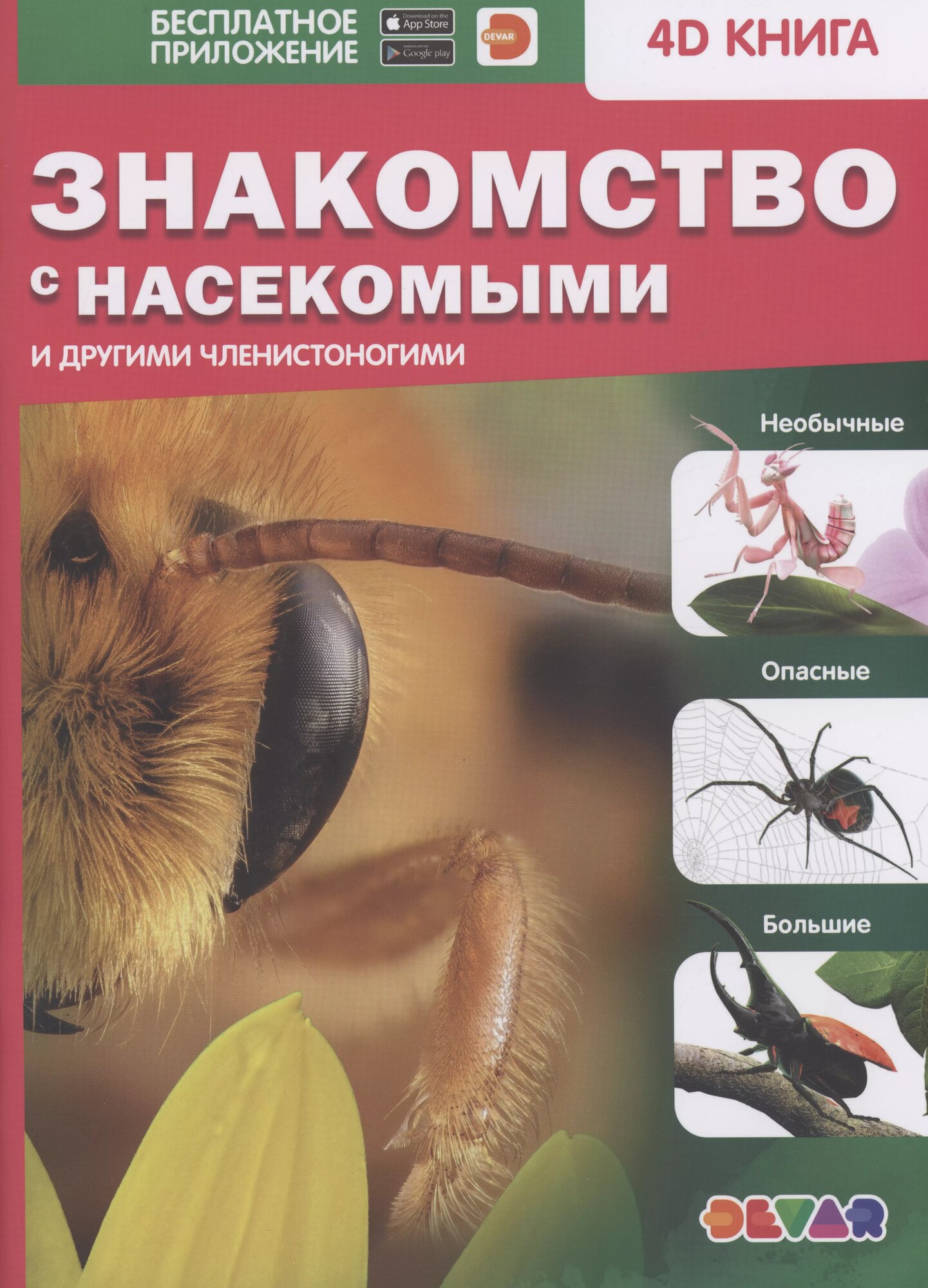 Знакомство с насекомыми и другими членистоногими()