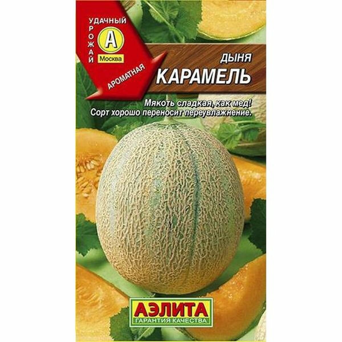 Семена Дыня Карамель, среднеспелый, Аэлита, 1 пачка - 1г семян