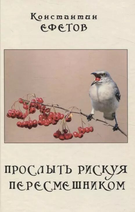 Прослыть рискуя пересмешником.