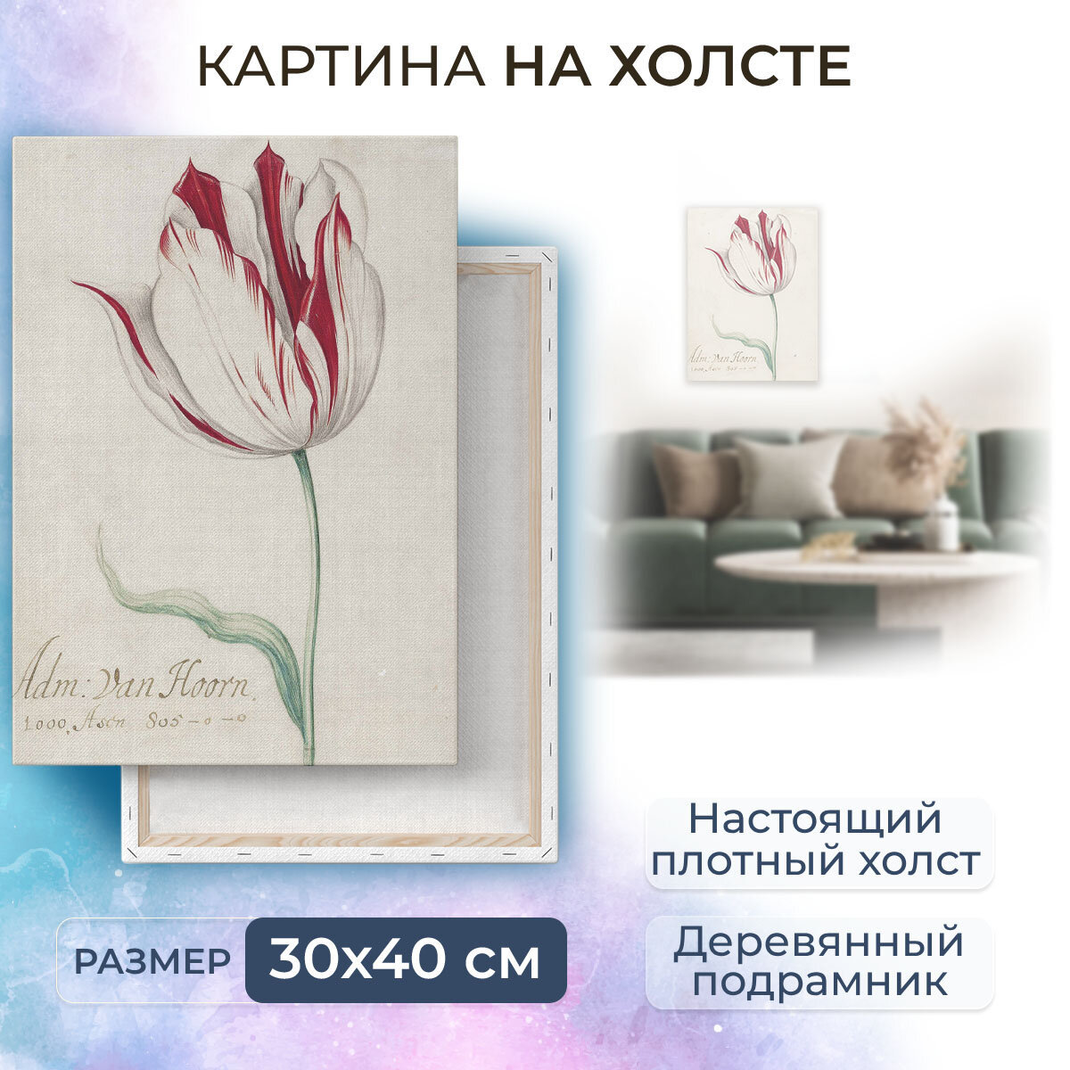Картина на холсте с подрамником / Pierr - Joseph Redoute / Пьер-Жозеф Редуте
