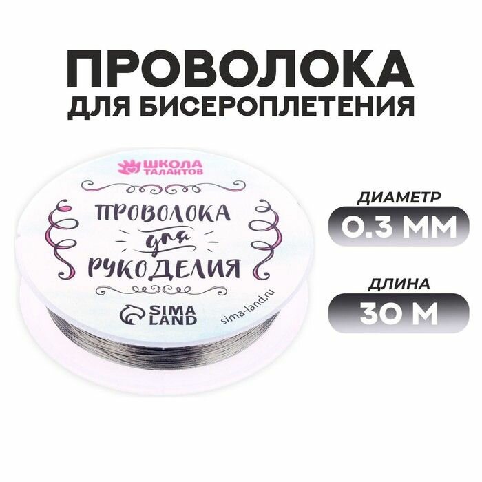 Проволока для бисероплетения Школа талантов D 0,3 мм, длина 30 м, цвет серебряный (3801454)