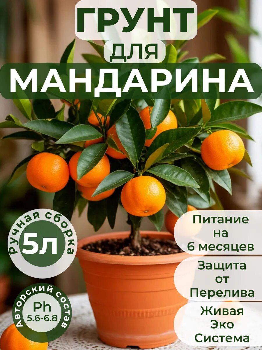 Готовый авторский грунт для Мандарина премиум 5л