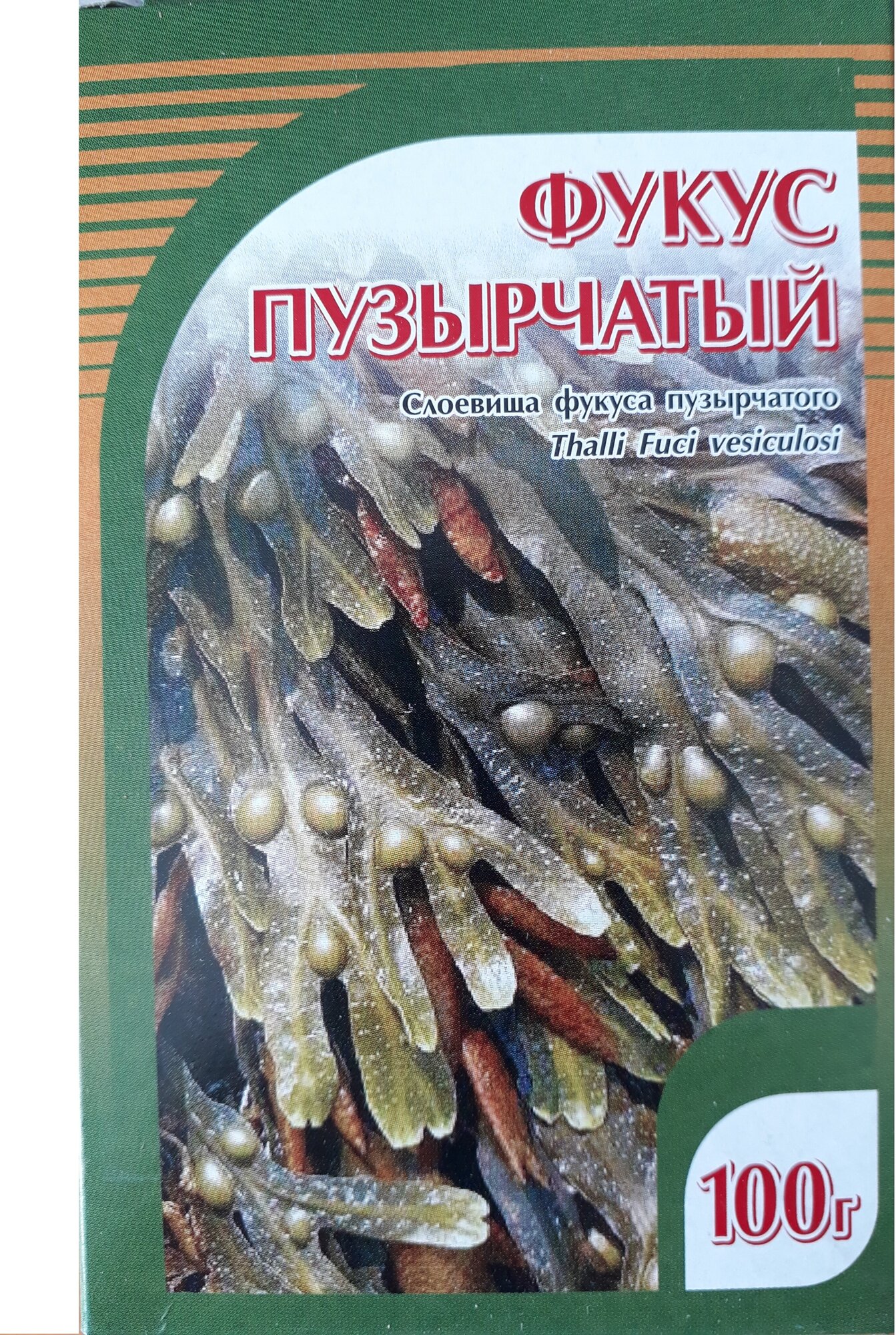 Фукус пузырчатый фото — купить по низкой цене на Яндекс Маркете