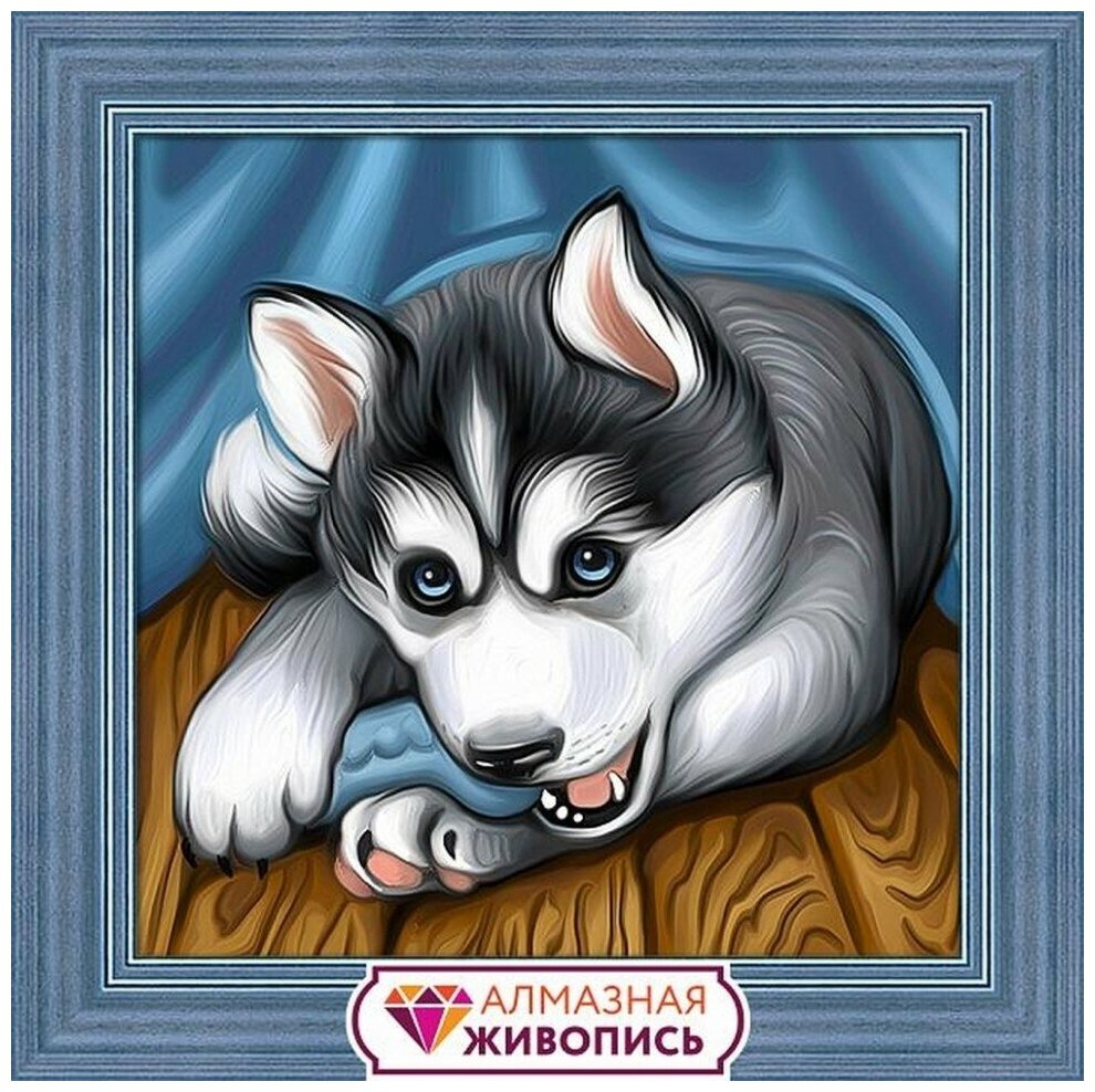 Набор Алмазная живопись #АЖ-1621 Озорной хаски, Алмазная Мозаика, 25 x 25 см