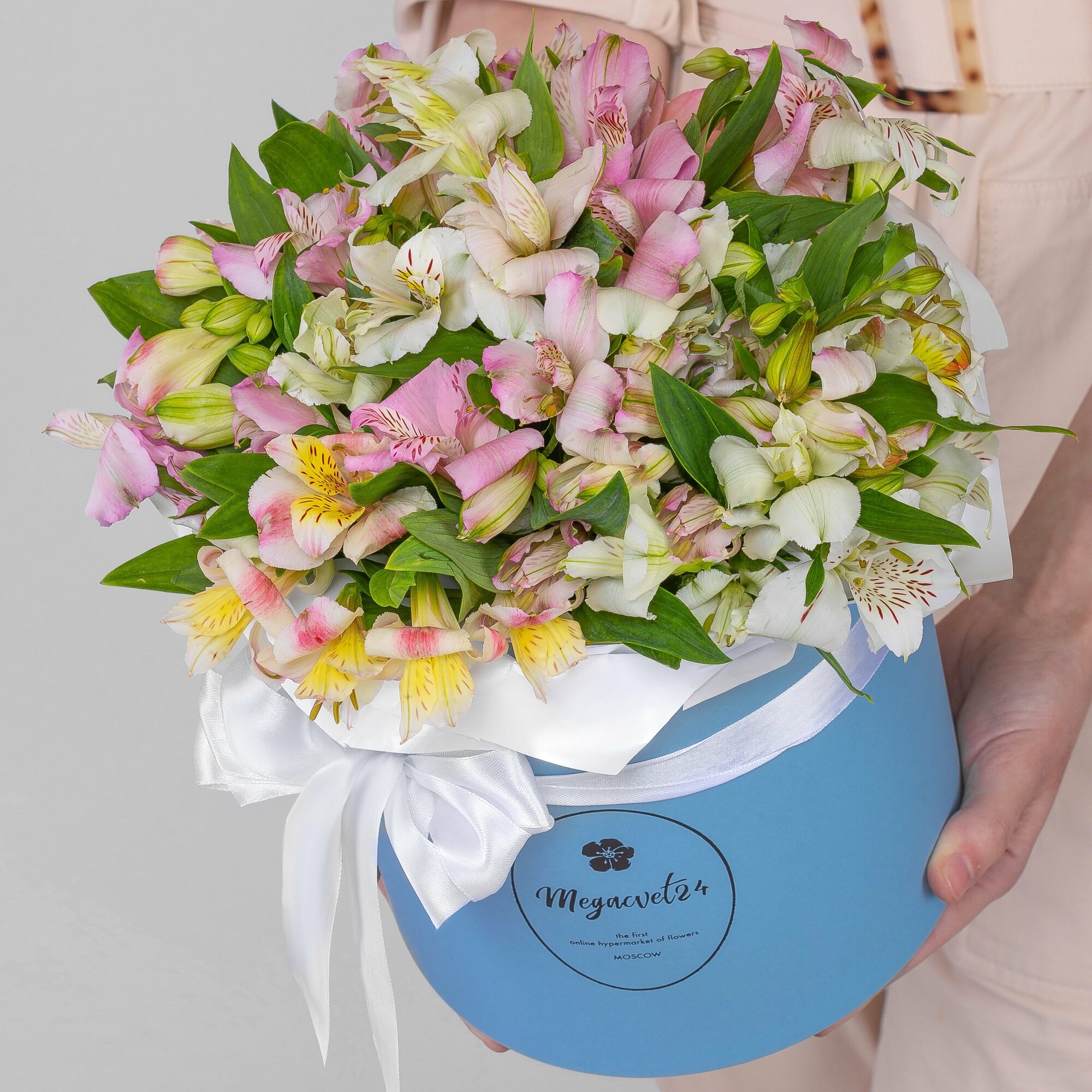 Букет Мегацвет24 "Альстромерии", 25 цветов, белый/розовый в шляпной коробке