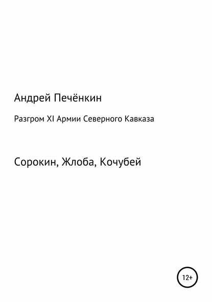 Разгром ХI Армии Северного Кавказа [Цифровая книга]