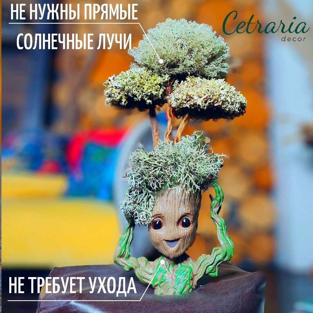 Грут с деревом цетрария для детской комнаты. Украшение настольное