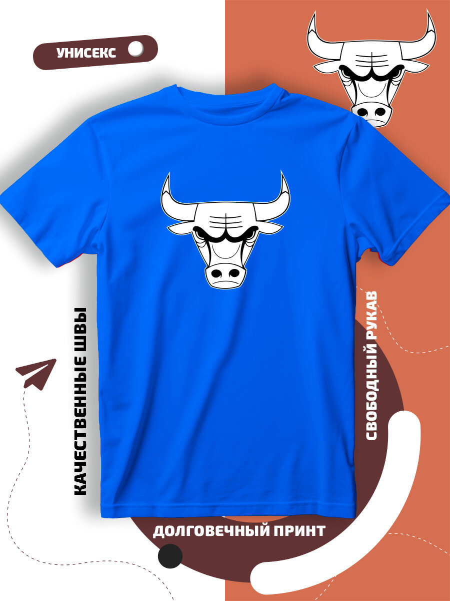 Футболка с принтом эмблемой Чикаго