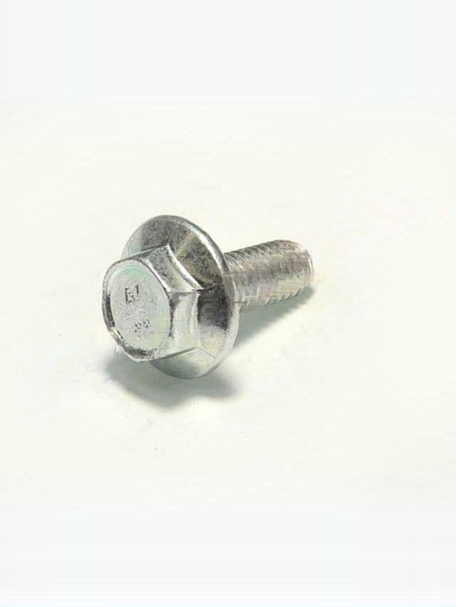 Болт М8*20*1,25 с зубчатым буртиком (бампера 2101) 13838171