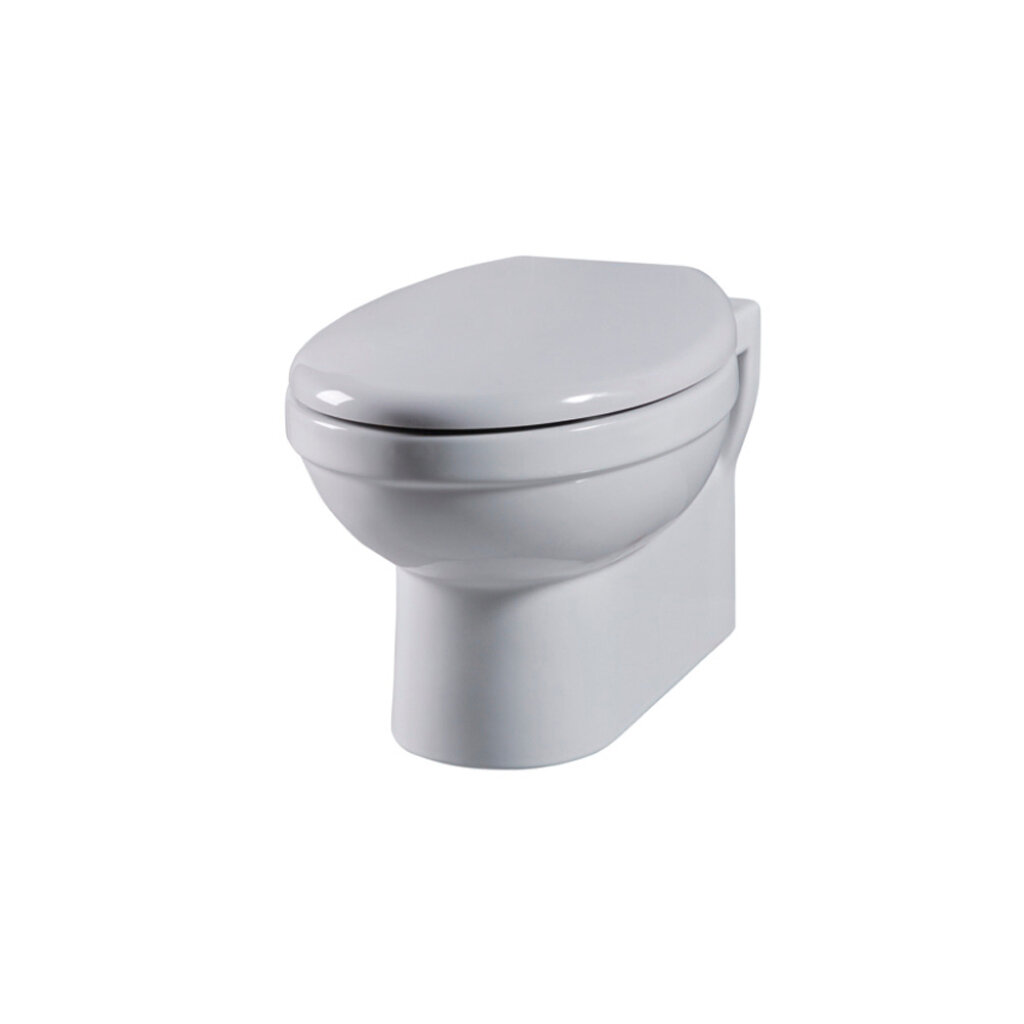 Крышка-сиденье для унитаза AM.PM Bliss Soft Close (Микролифт) быстросъемное