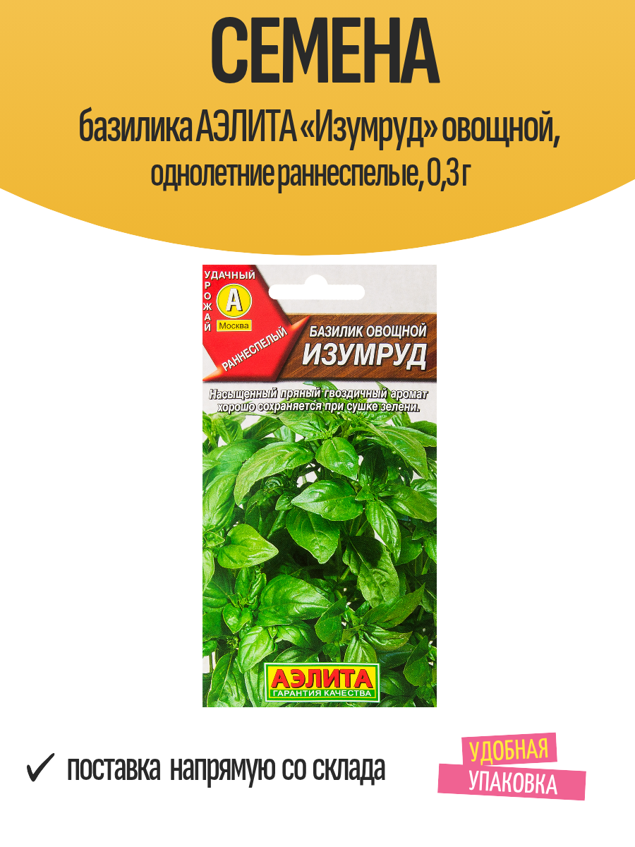 Семена базилика аэлита «Изумруд» овощной, однолетние раннеспелые, 0,3 г