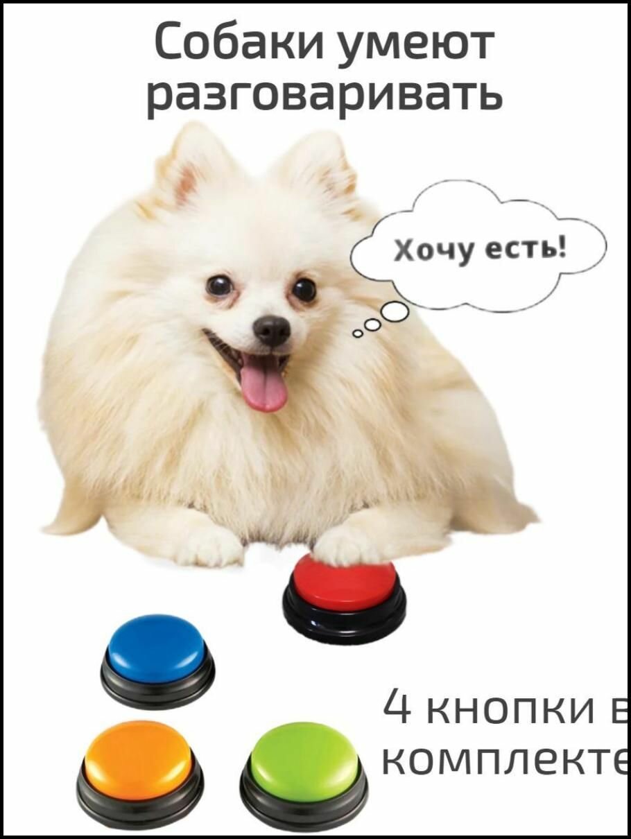 Кнопка для собак жрать хочу, 4 шт комплект, кушать хочу, для дрессировки животных с записью голоса, звуковая кнопка, кликер для собак , оранжевая