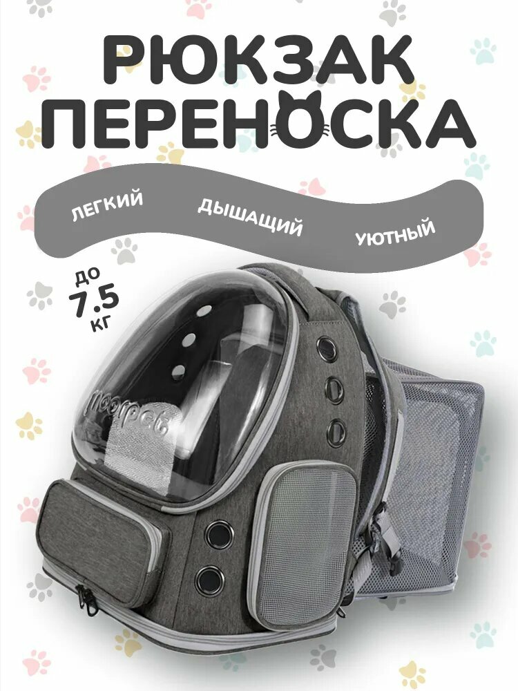 Переноска