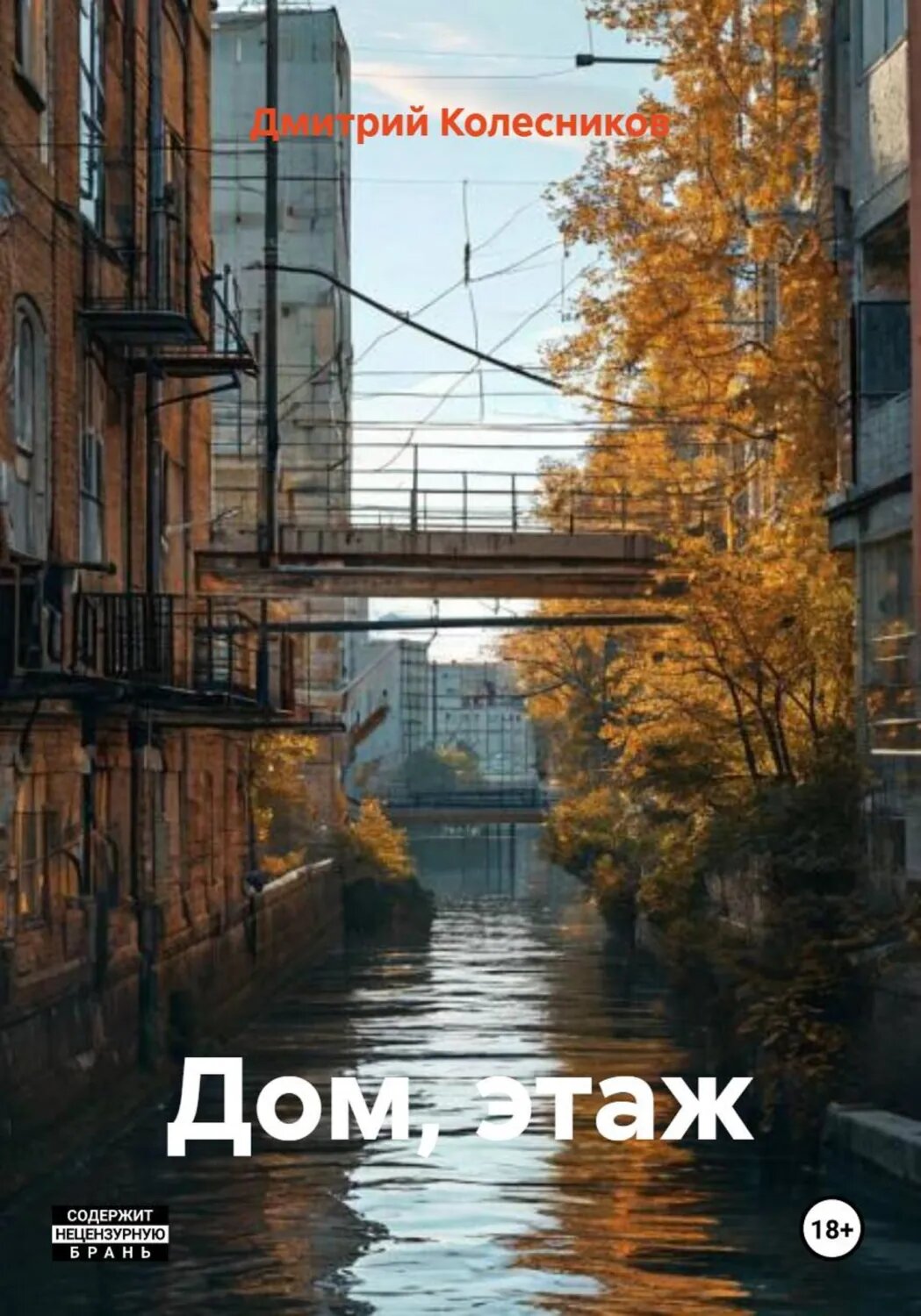 Дом, этаж [Цифровая книга]