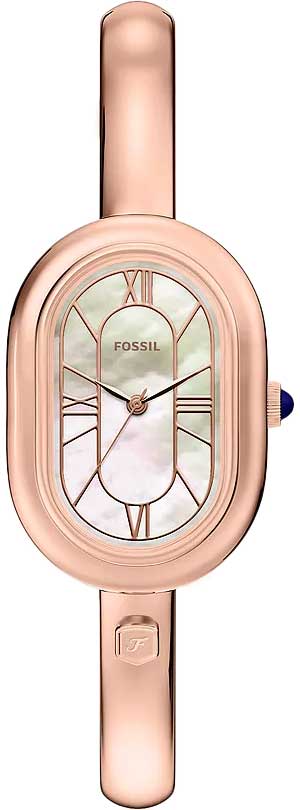  FOSSIL