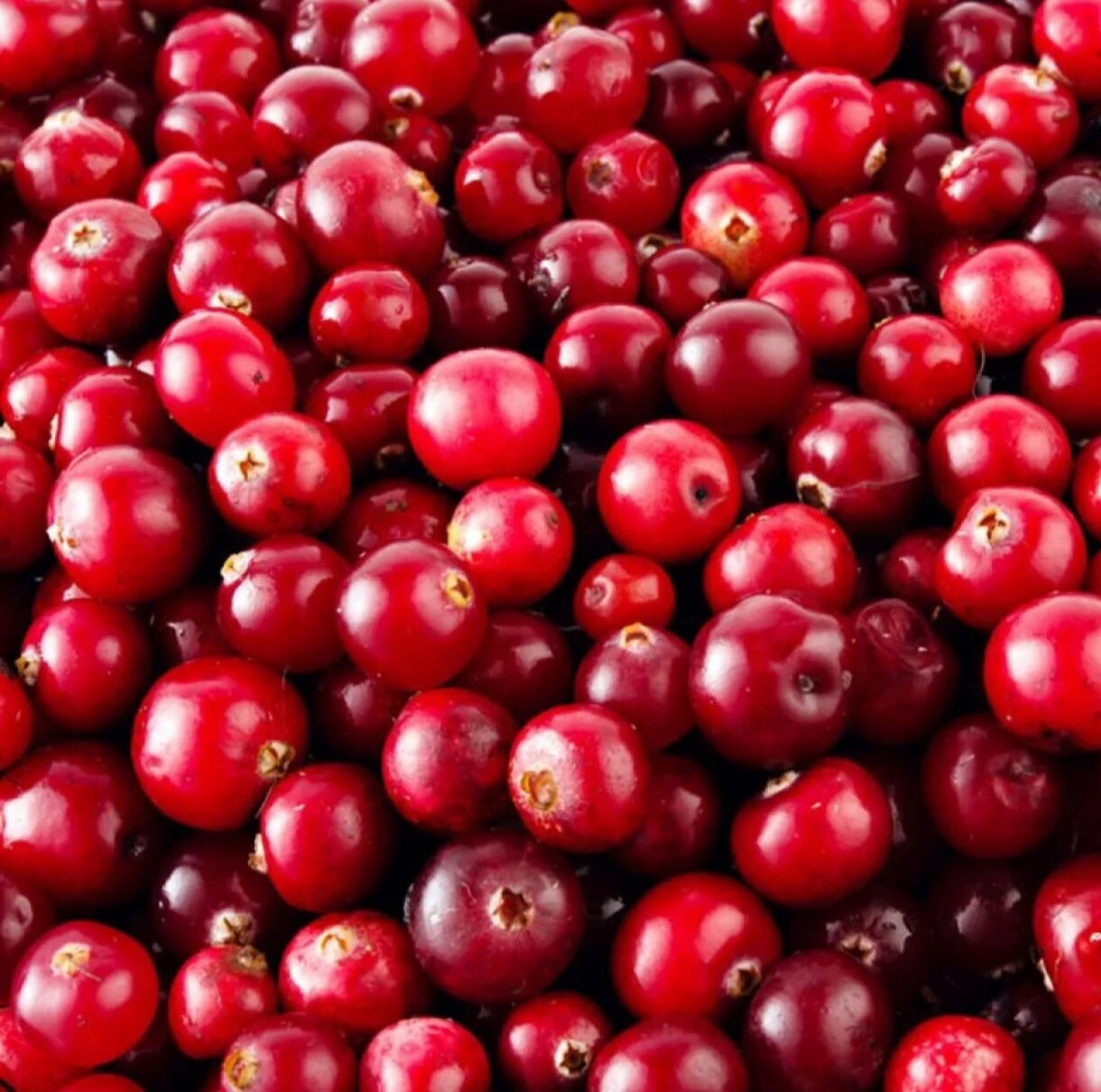 Клюква свежая 3л.