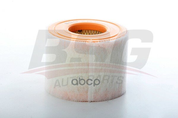 Фильтр воздушный AUDI A6, A7 (10-) BSG BSG AUTO PARTS арт. BSG90135030