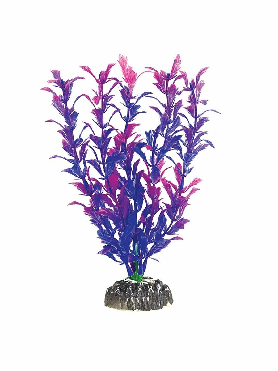 Растение Laguna "Людвигия фиолетовая", 20см